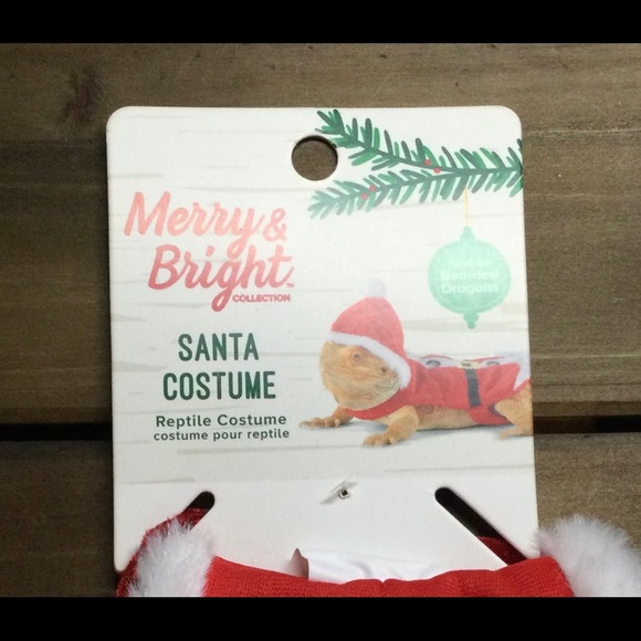 Merry & Bright | Reptile | Merry Bright Reptile Santa Costume | Poshmark